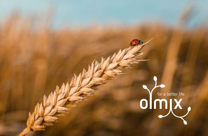 Olmix fait germer un premier build-up | CFNEWS